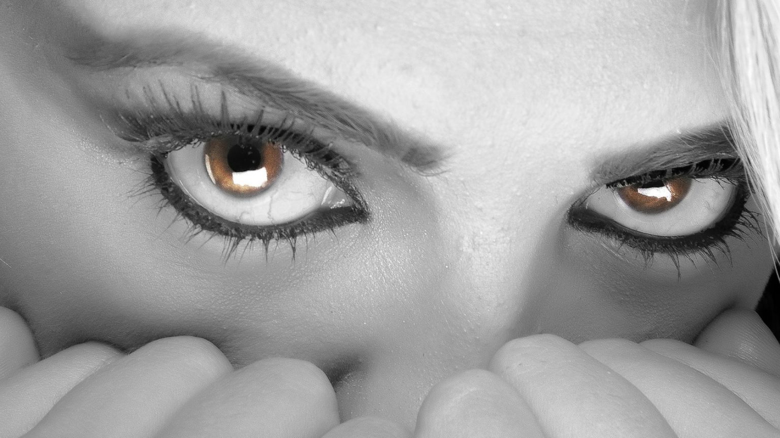 La phobie : ce qu’il faut savoir – Legislation-psy.com